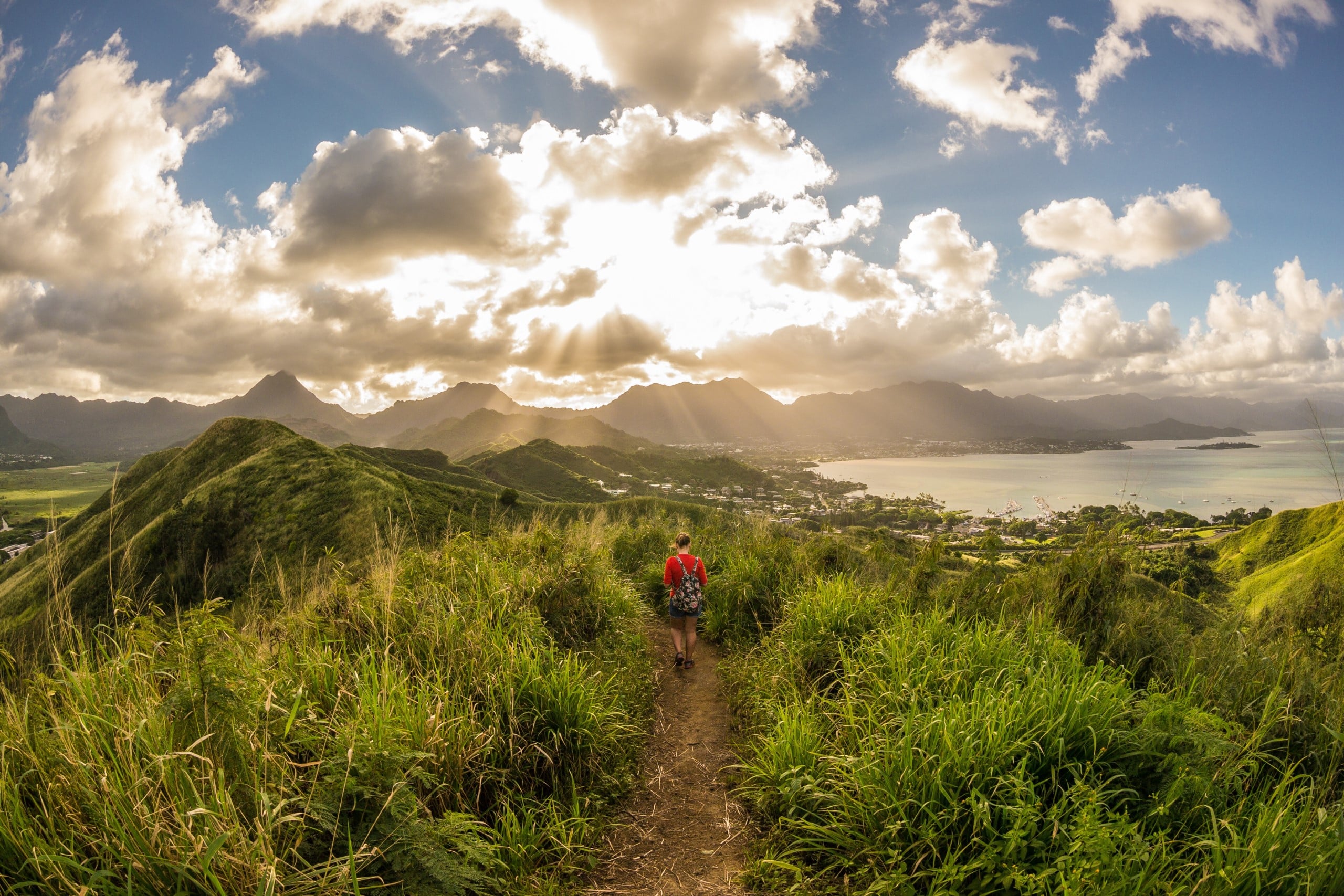 The Downward Path To Wisdom - David Youngren